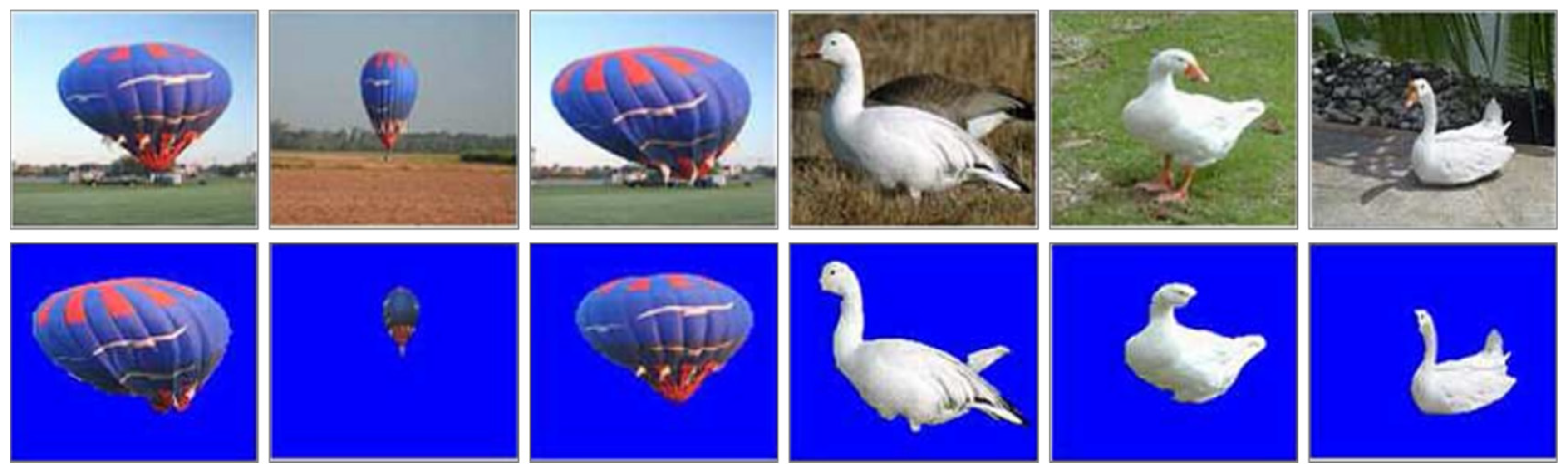 Techniques and Challenges of Image Segmentation: A Review