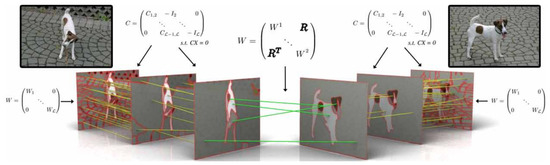 Electronics | Free Full-Text | Techniques and Challenges of Image Segmentation: A Review