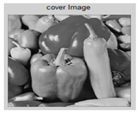 Secure Reversible Data Hiding Using Block-Wise Histogram Shifting