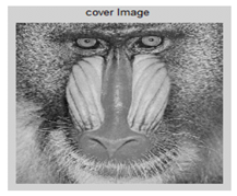 Secure Reversible Data Hiding Using Block-Wise Histogram Shifting
