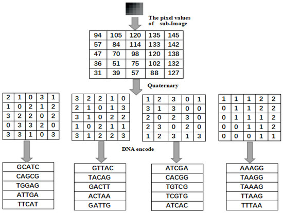 One-Dimensional Quadratic Chaotic System and Splicing Model for Image Encryption