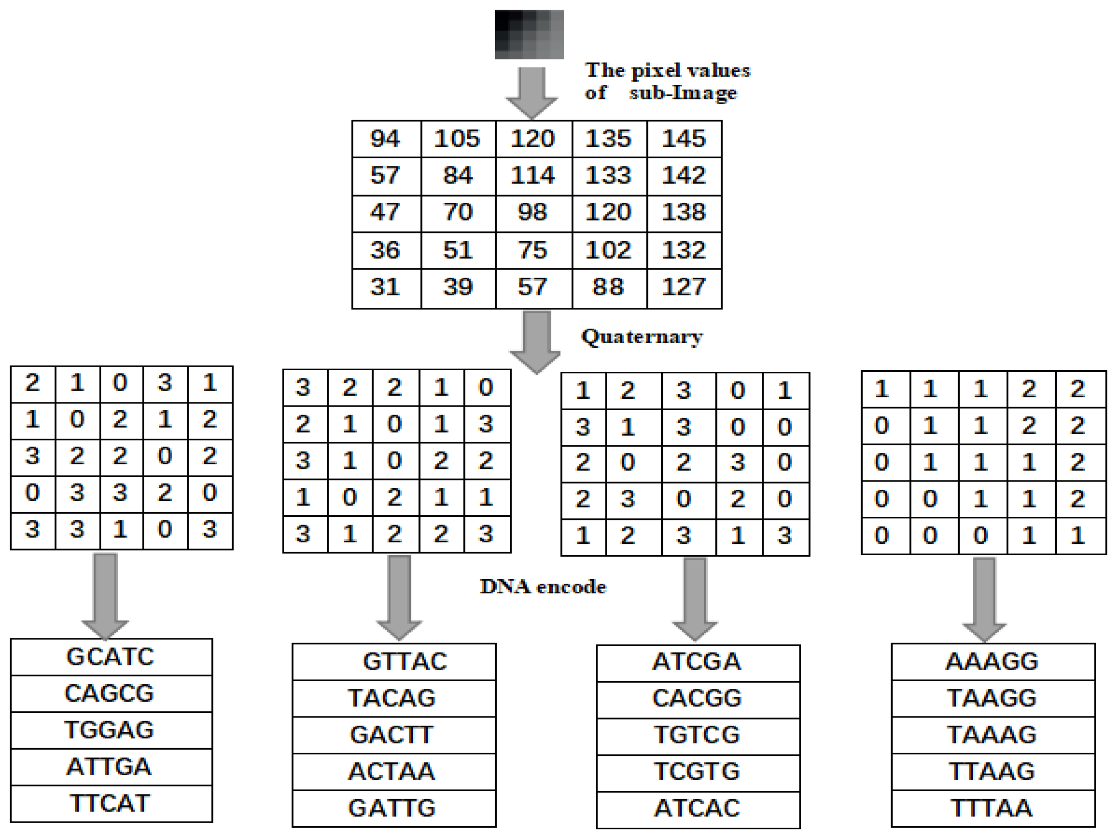 Electronics | Free Full-Text | One-Dimensional Quadratic Chaotic System ...