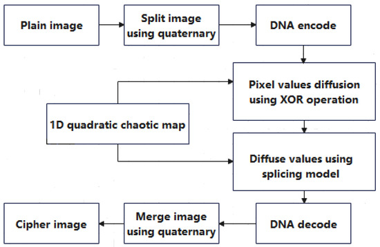 One-Dimensional Quadratic Chaotic System and Splicing Model for Image Encryption