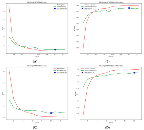 A Deep-Ensemble-Learning-Based Approach for Skin Cancer Diagnosis