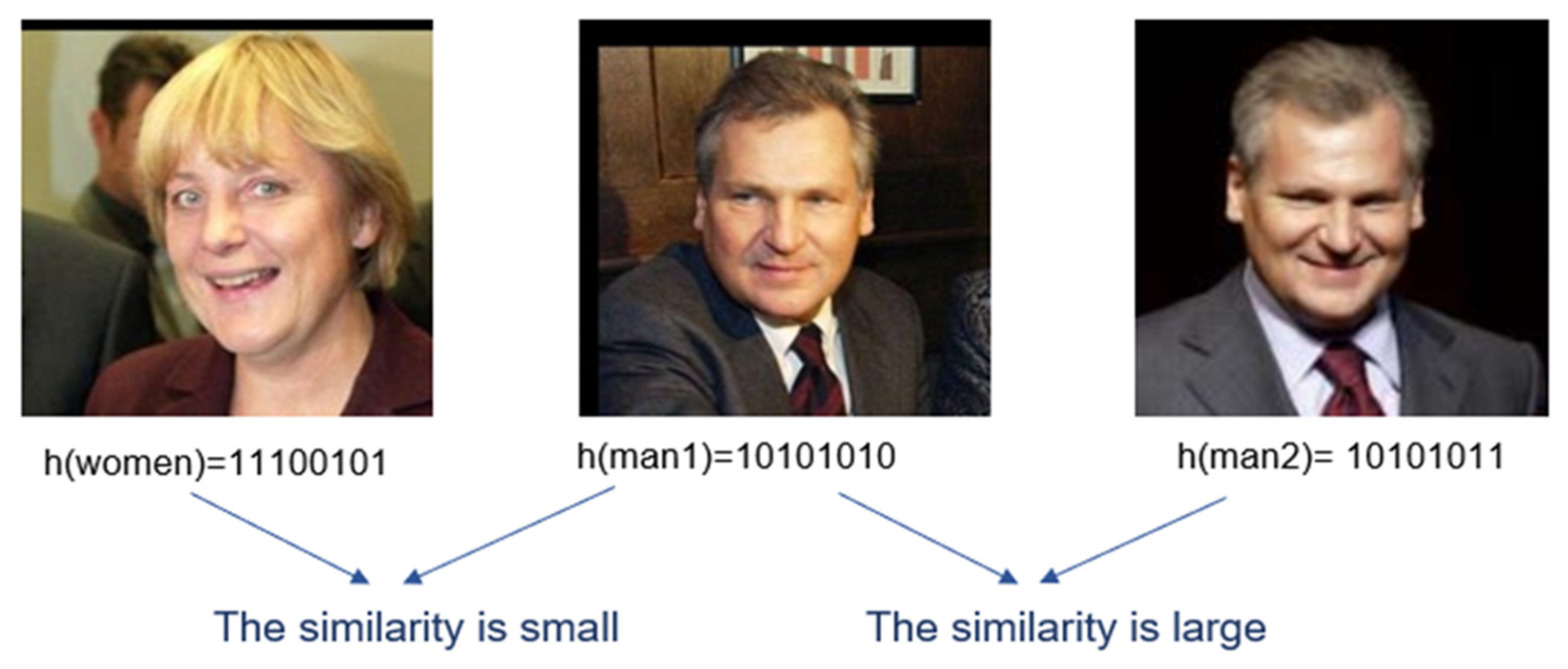 Locality-Sensitive Hashing of Soft Biometrics for Efficient Face Image Database Search and Retrieval