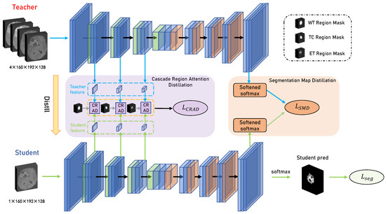 Generalized Knowledge Distillation for Unimodal Glioma Segmentation ...