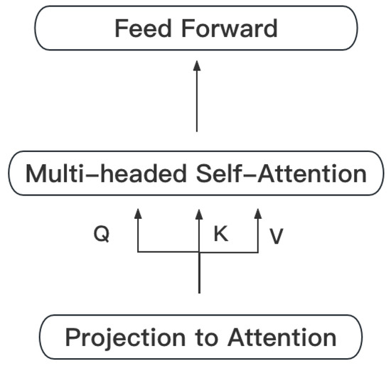 Sequence Segmentation Attention Network for Skeleton-Based Action Recognition