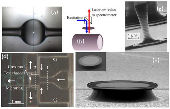 Progress on the Microcavity Lasers Based on Microstructured Optical Fiber