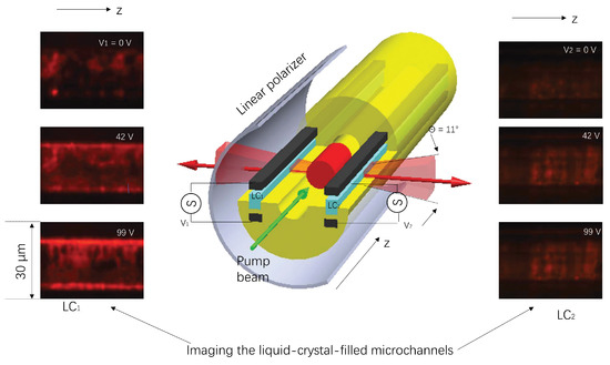 Progress on the Microcavity Lasers Based on Microstructured Optical Fiber