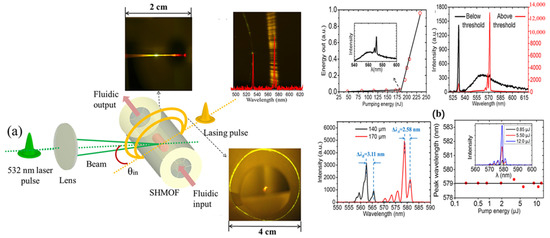 Progress on the Microcavity Lasers Based on Microstructured Optical Fiber