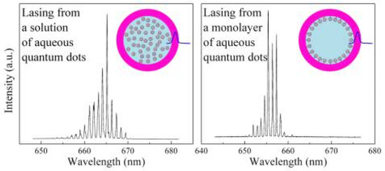 Progress on the Microcavity Lasers Based on Microstructured Optical Fiber