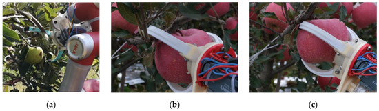 Apple-Picking Robot Picking Path Planning Algorithm Based on Improved PSO