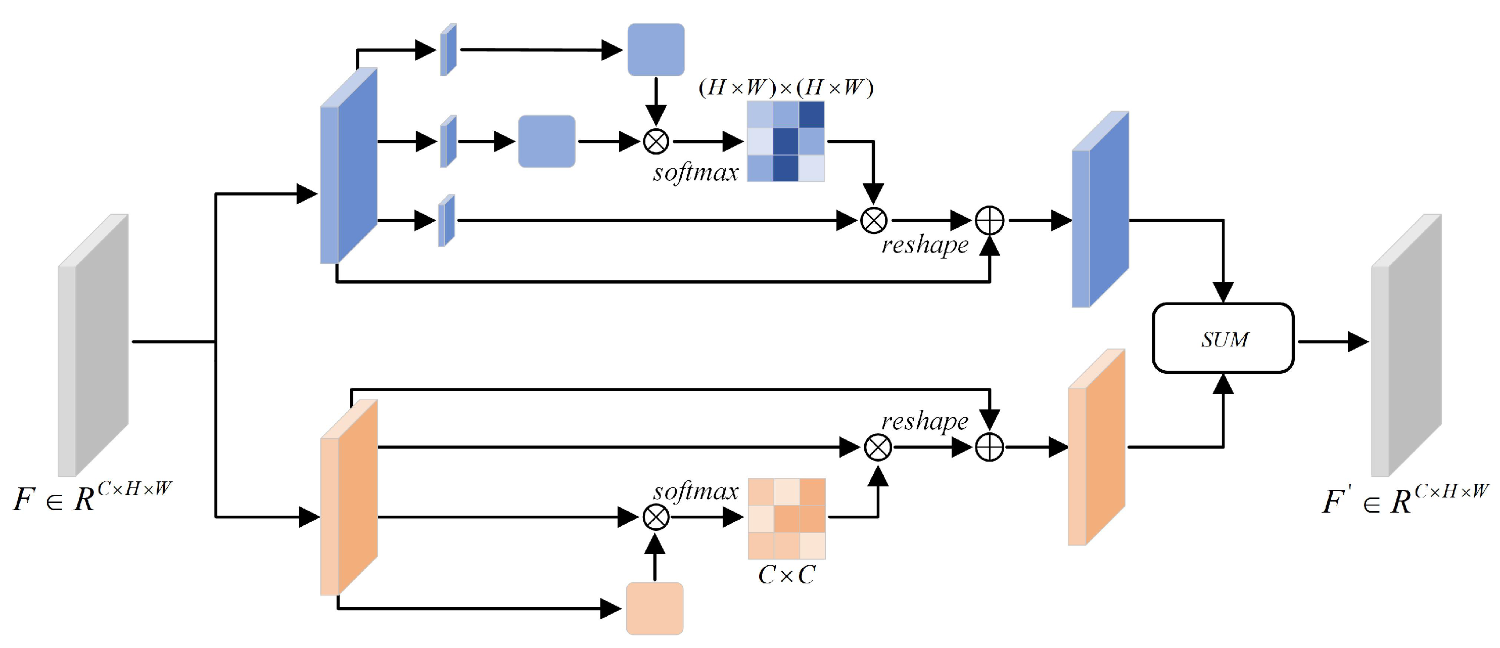 Dual-Branch Person Re-Identification Algorithm Based on Multi-Feature Representation