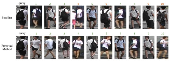 Dual-Branch Person Re-Identification Algorithm Based on Multi-Feature Representation