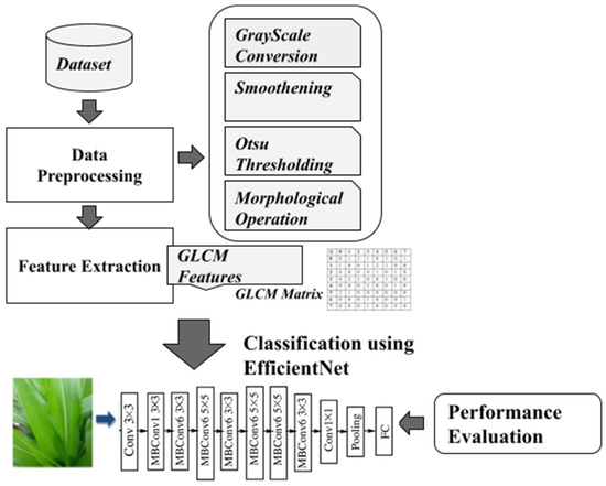 Detecting Plant Disease in Corn Leaf Using EfficientNet Architecture—An Analytical Approach