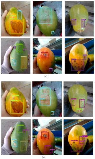 Yolo-Papaya: A Papaya Fruit Disease Detector and Classifier Using CNNs ...