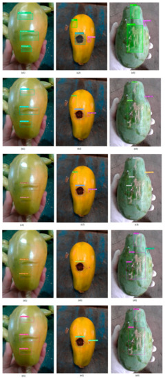 Yolo-Papaya: A Papaya Fruit Disease Detector and Classifier Using CNNs ...
