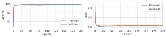 Electronics | Free Full-Text | An Efficient Classification of Rice ...