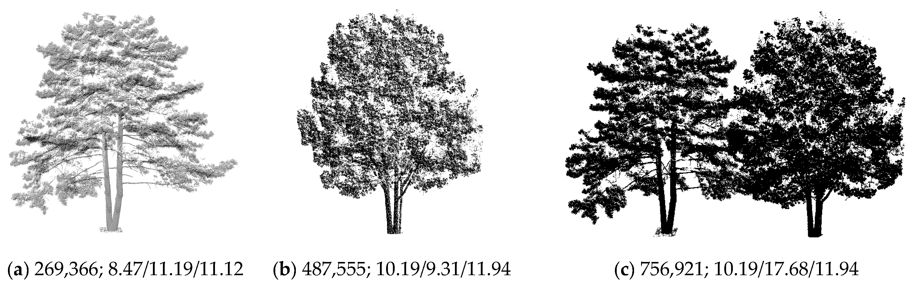 Soft Segmentation and Reconstruction of Tree Crown from Laser Scanning Data