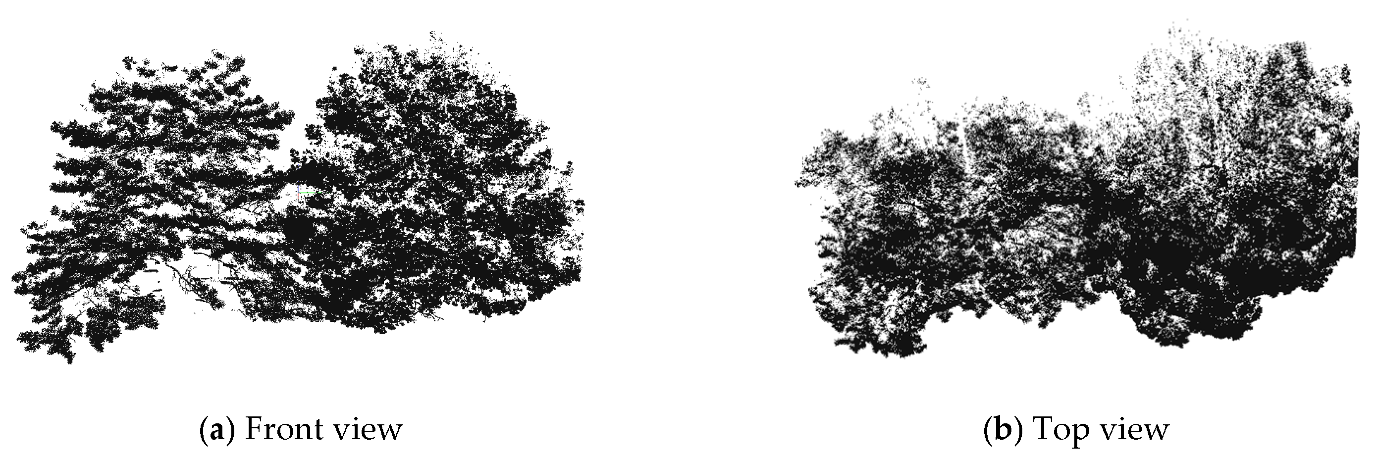 Soft Segmentation and Reconstruction of Tree Crown from Laser Scanning Data
