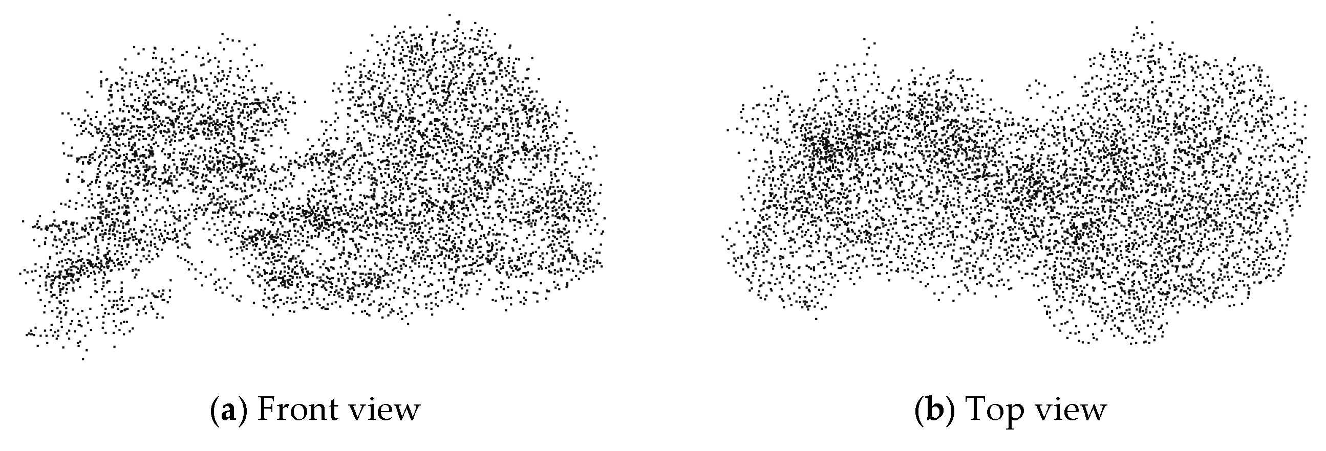 Soft Segmentation and Reconstruction of Tree Crown from Laser Scanning Data