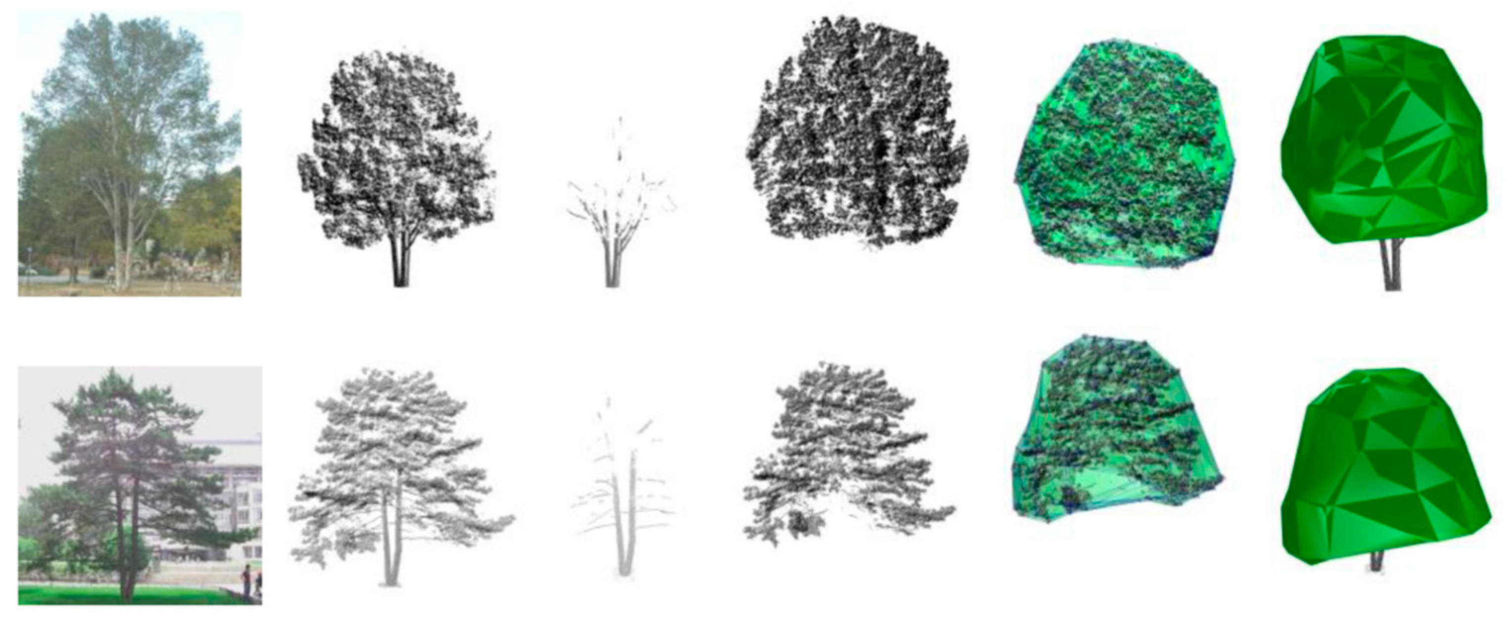 Soft Segmentation and Reconstruction of Tree Crown from Laser Scanning Data