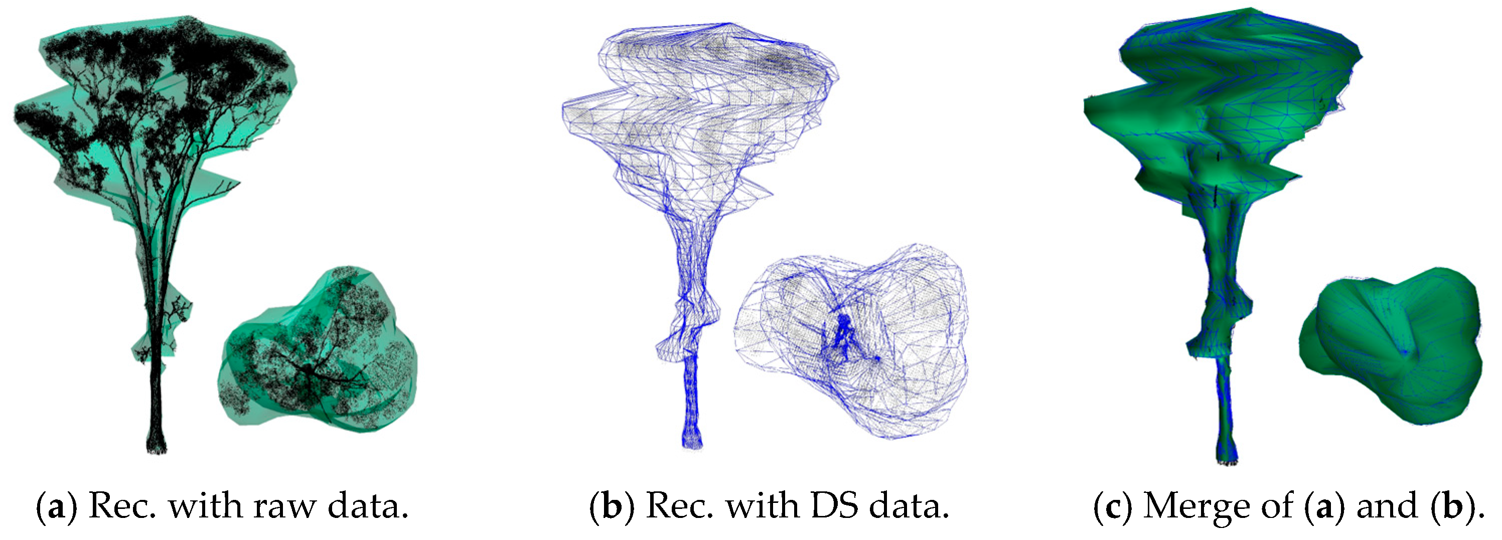 Soft Segmentation and Reconstruction of Tree Crown from Laser Scanning Data