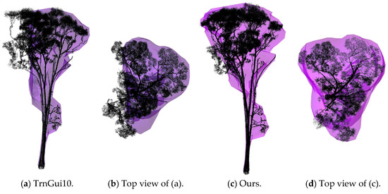 Soft Segmentation and Reconstruction of Tree Crown from Laser Scanning Data