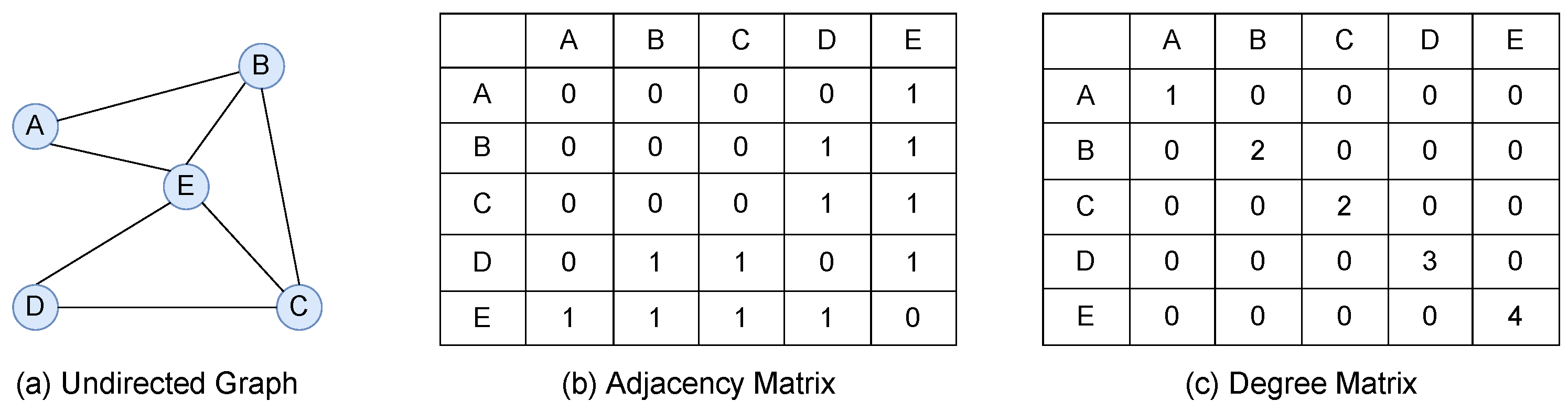 REEGAT: RoBERTa Entity Embedding and Graph Attention Networks Enhanced Sentence Representation ...