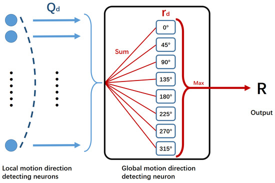 A Motion-Direction-Detecting Model for Gray-Scale Images Based on the Hassenstein–Reichardt Model