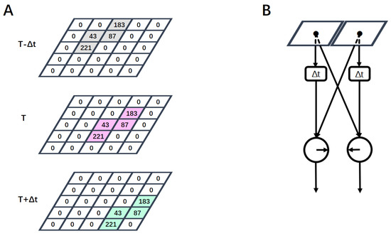 A Motion-Direction-Detecting Model for Gray-Scale Images Based on the Hassenstein–Reichardt Model
