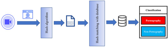 Learning Strategies for Sensitive Content Detection
