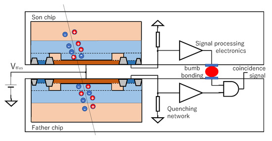 A Wireless, Battery-Powered Probe Based on a Dual-Tier CMOS SPAD Array for Charged Particle Sensing