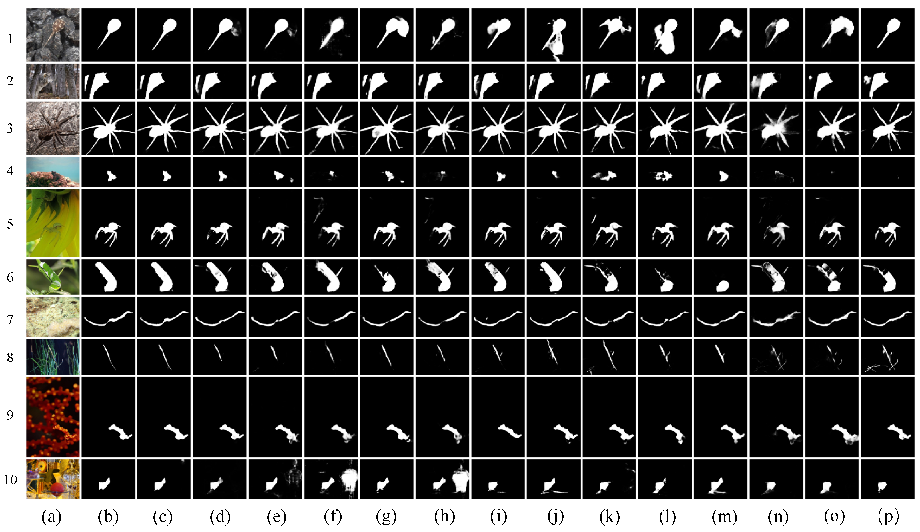 Camouflaged Object Detection with a Feature Lateral Connection Network