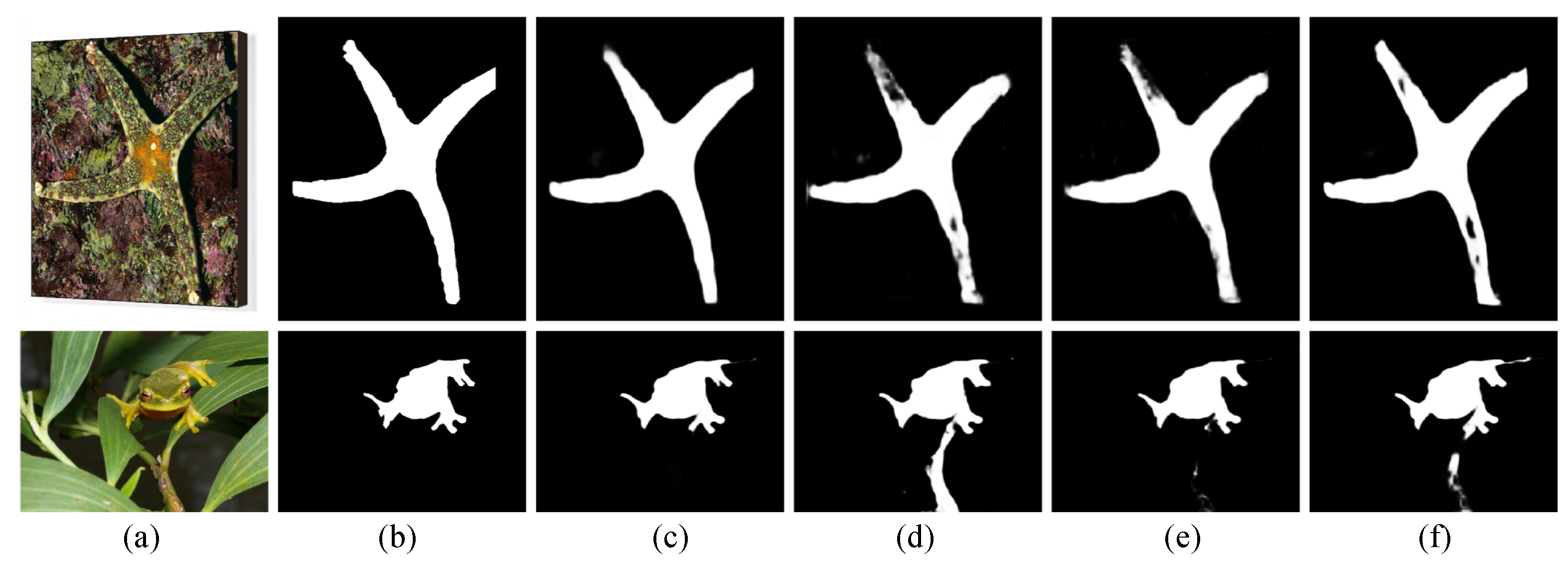 Camouflaged Object Detection with a Feature Lateral Connection Network