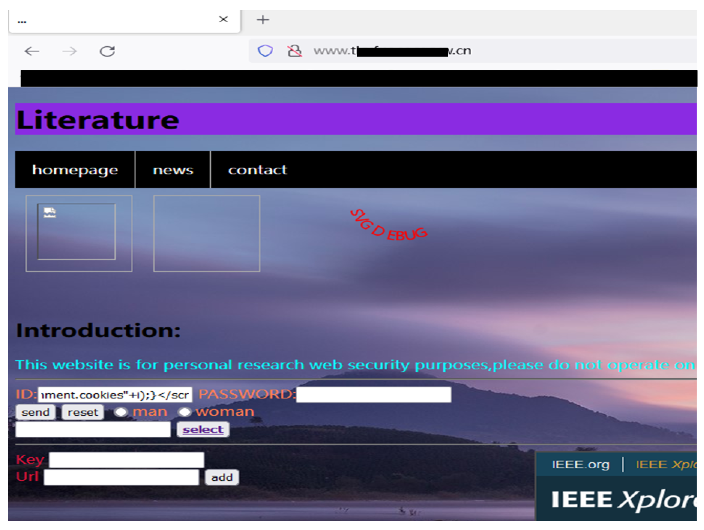 Electronics | Free Full-Text | Security Analysis of Web Open-Source ...