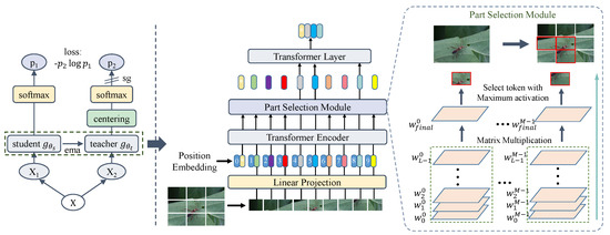 Electronics | Free Full-Text | Multimodal Fine-Grained Transformer Model for Pest Recognition