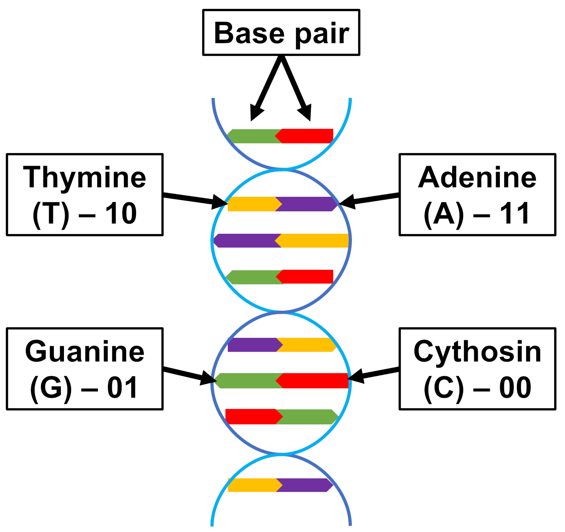 Integrating FPGA Acceleration in the DNAssim Framework for Faster DNA-Based Data Storage Simulations