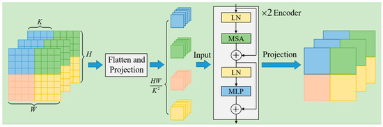 MSGSA: Multi-Scale Guided Self-Attention Network for Crowd Counting