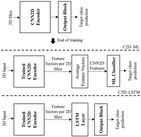 Explainable Feature Extraction and Prediction Framework for 3D Image Recognition Applied to ...