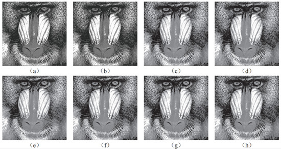 MSWOA: A Mixed-Strategy-Based Improved Whale Optimization Algorithm for Multilevel Thresholding ...
