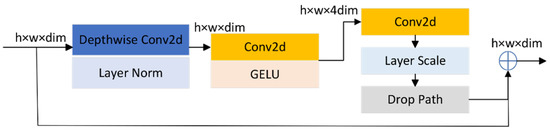 EA-ConvNeXt: An Approach to Script Identification in Natural Scenes ...