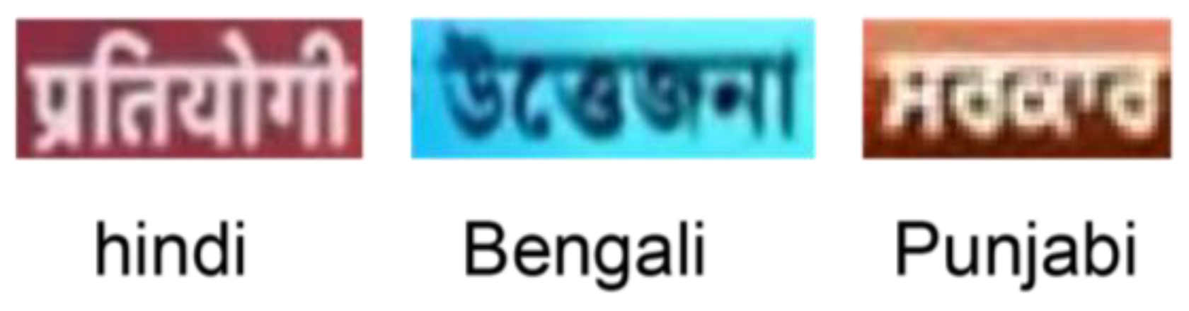 EA-ConvNeXt: An Approach to Script Identification in Natural Scenes ...