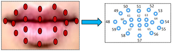 A Multi-Feature Fusion and Situation Awareness-Based Method for Fatigue ...