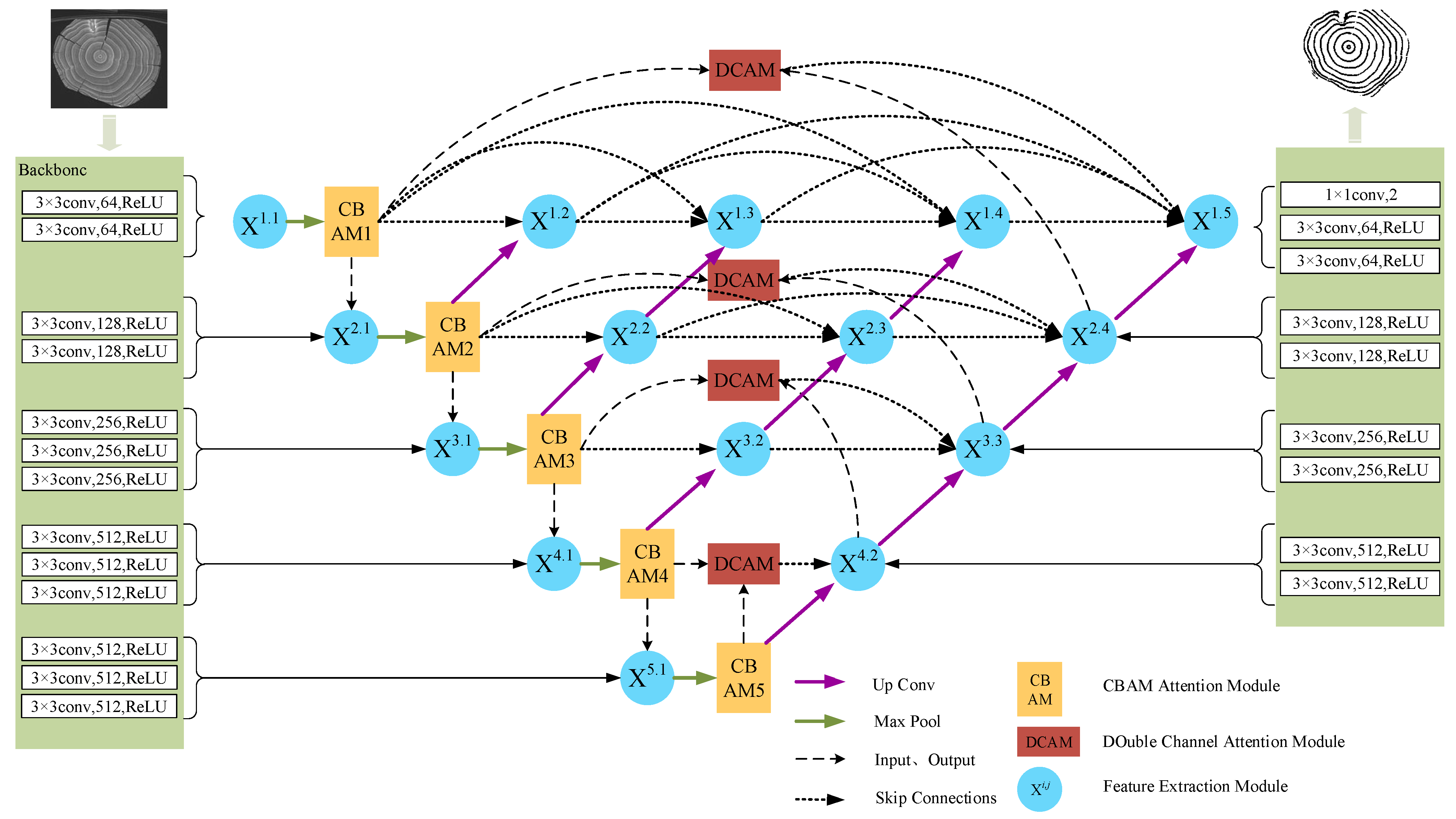 An Algorithm Based on DAF-Net++ Model for Wood Annual Rings Segmentation