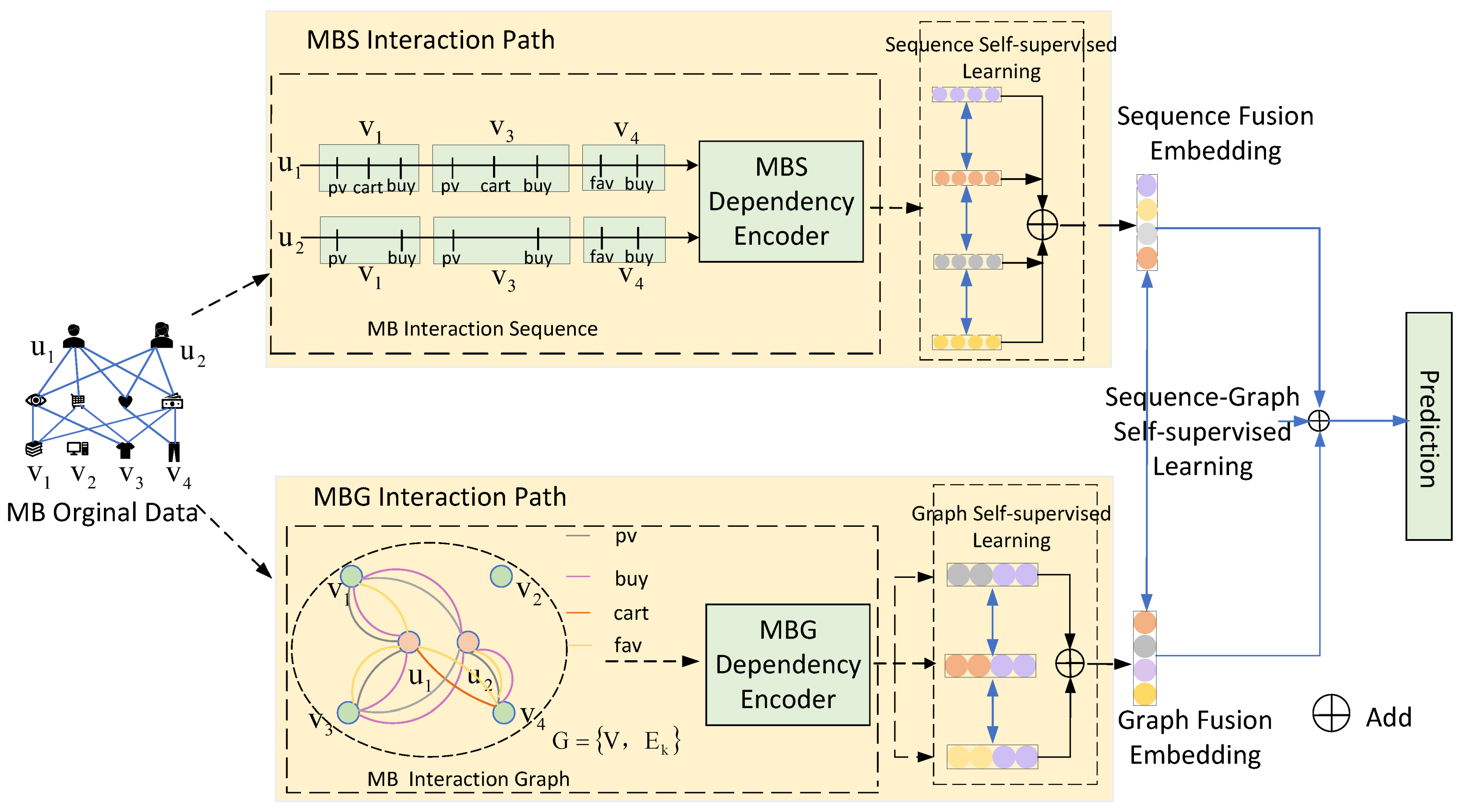 A Two-Path Multibehavior Model of User Interaction