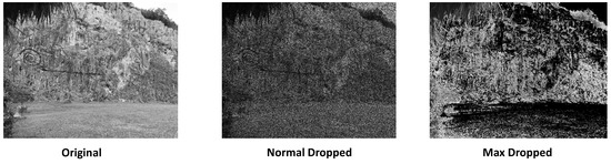 A Review on Dropout Regularization Approaches for Deep Neural Networks within the Scholarly Domain