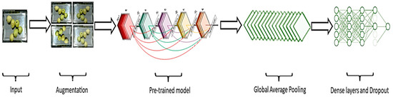 DenseNet-201 and Xception Pre-Trained Deep Learning Models for Fruit ...