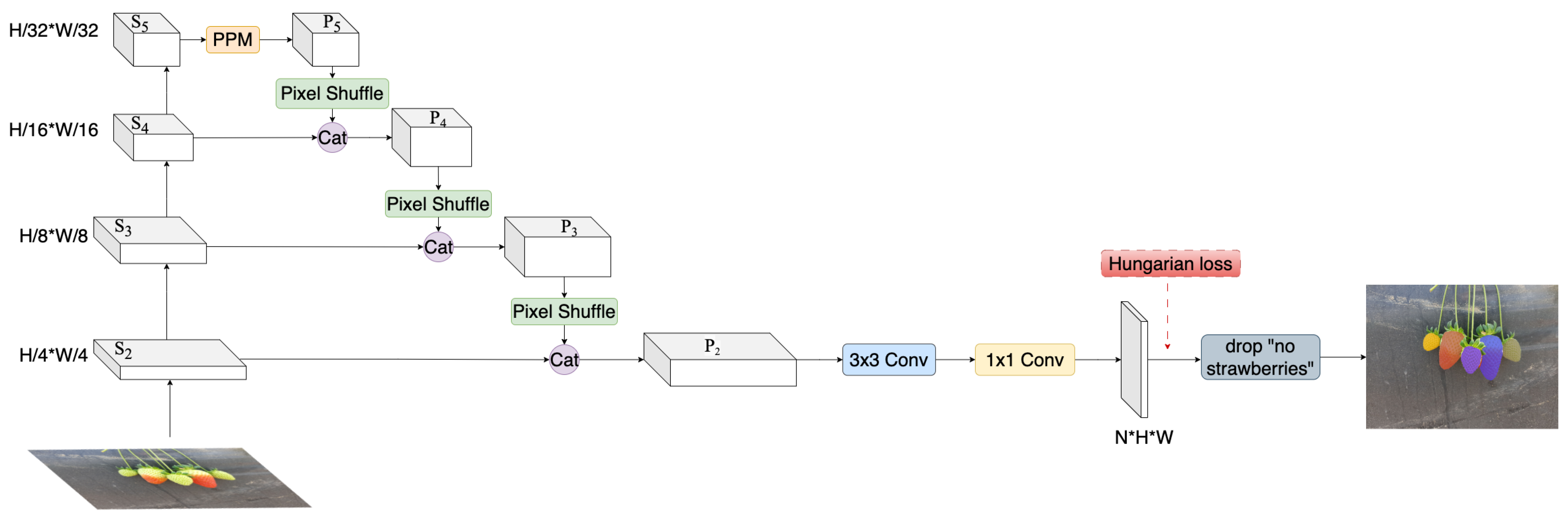 Lightweight Strawberry Instance Segmentation on Low-Power Devices for Picking Robots
