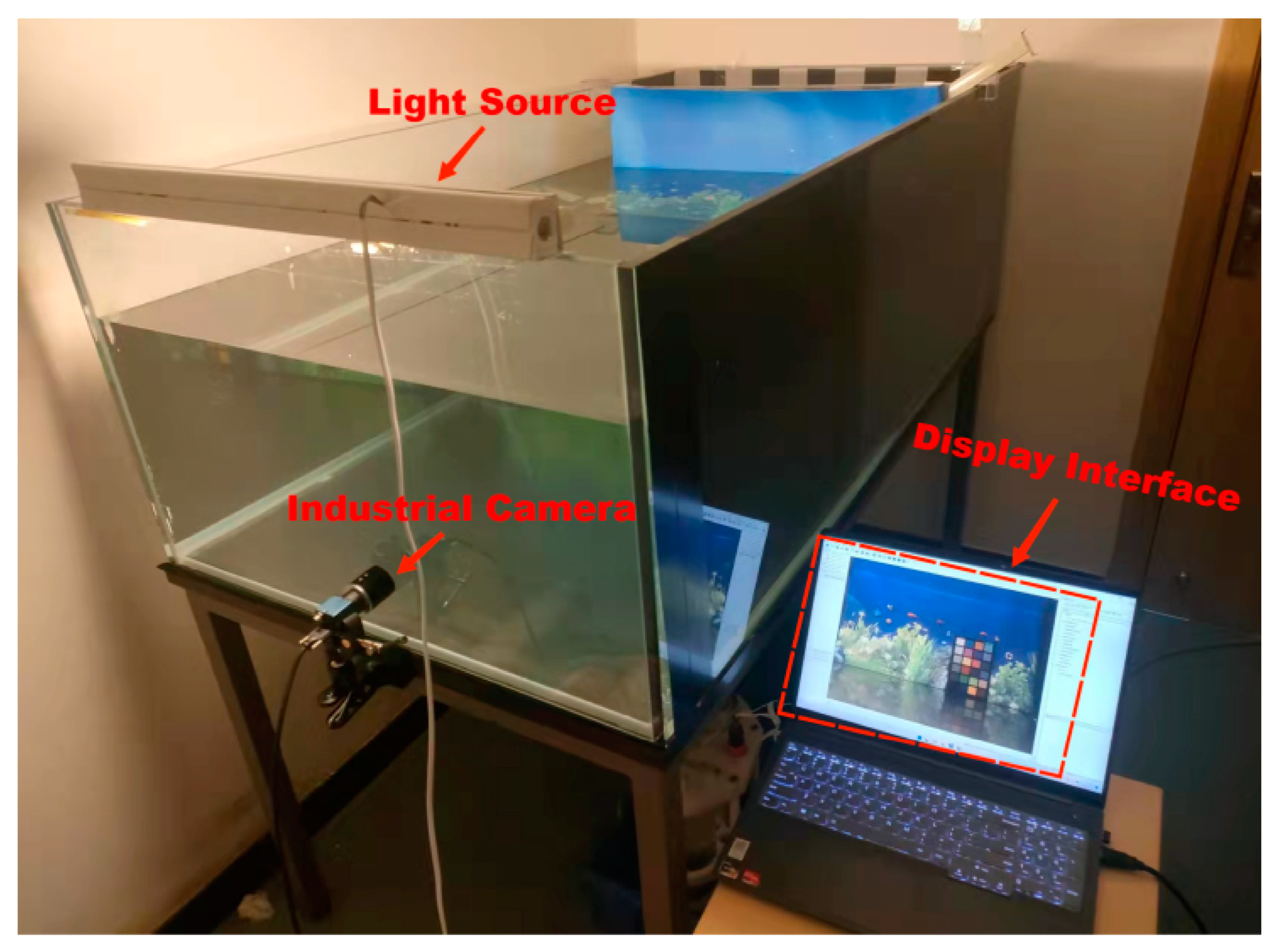 Underwater Image Color Constancy Calculation with Optimized Deep Extreme Learning Machine Based ...